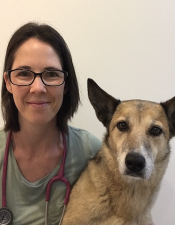 Vetchat - chat with a vet online