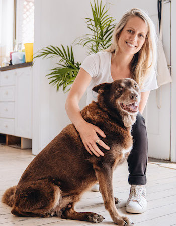 Vetchat - chat with a vet online